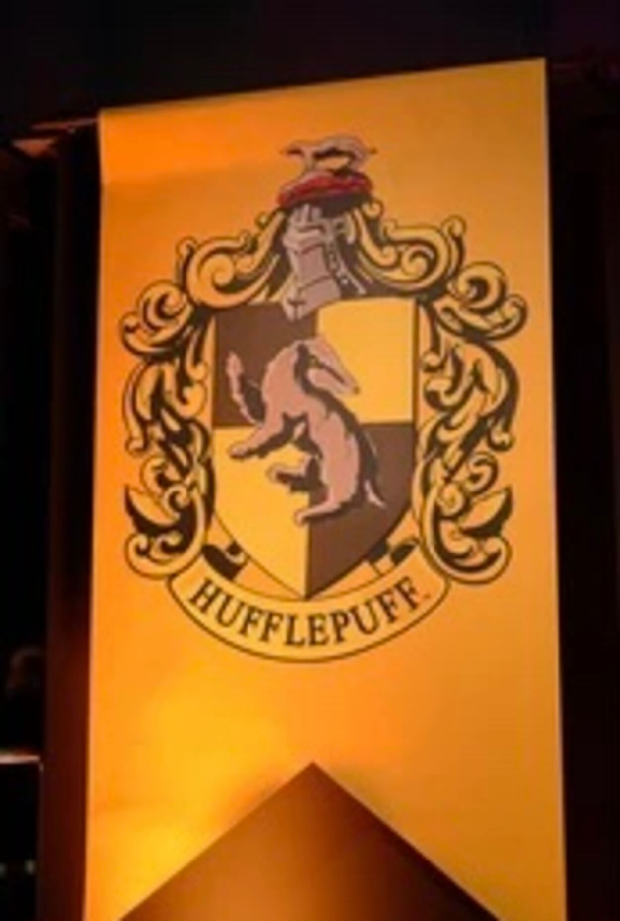 ¿Cuál es la diferencia entre Hufflepuff y Gryyfindor? (Hechos ...