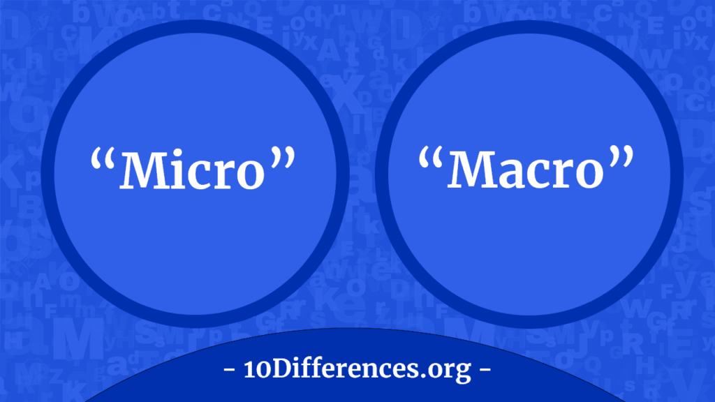 Diferencia entre micro y macro - Ieb Barceloneta